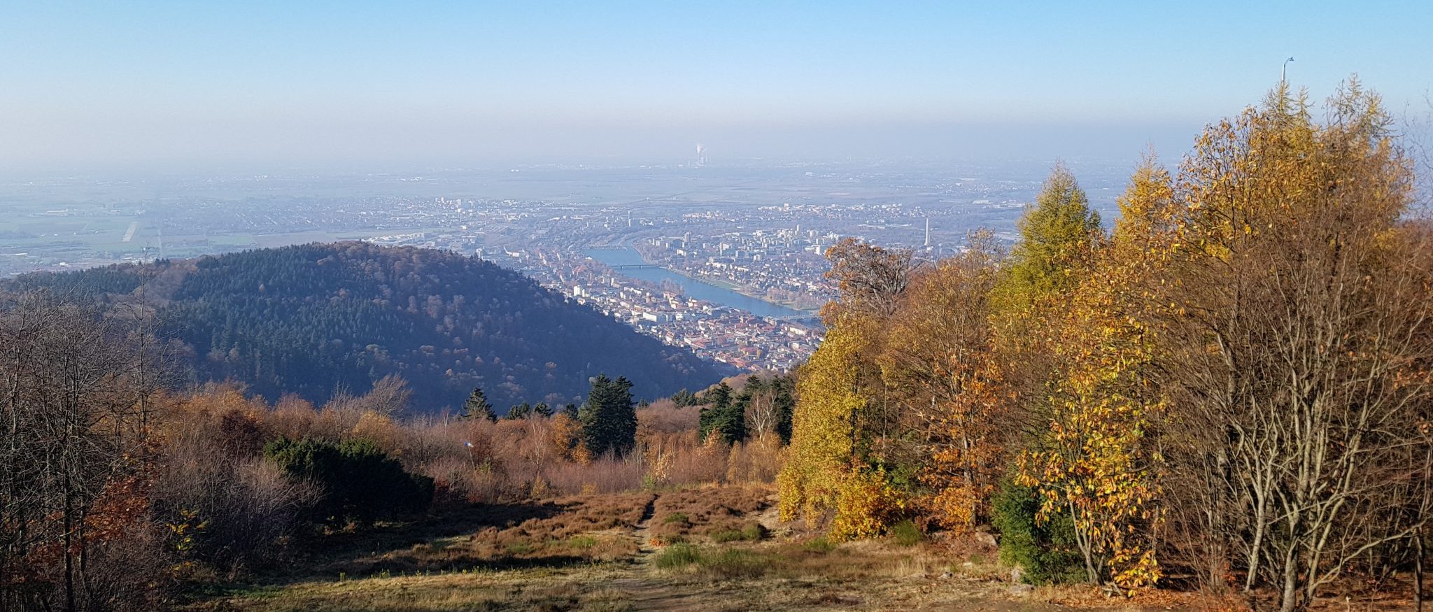 Königstuhl | Zweite Heimat Heidelberg